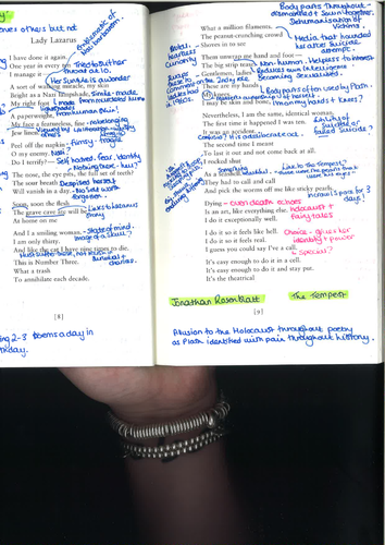 Sylvia Plath Annotations | Teaching Resources