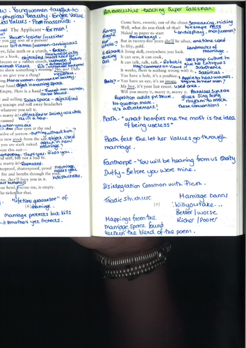 Sylvia Plath Annotations | Teaching Resources