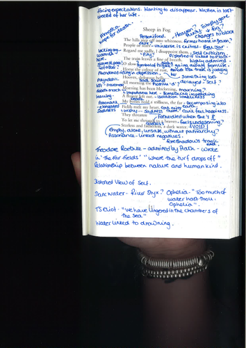 Sylvia Plath Annotations | Teaching Resources