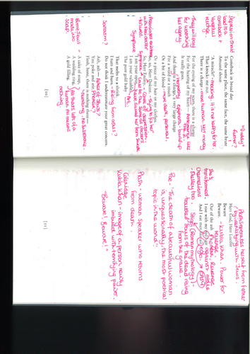Sylvia Plath Annotations | Teaching Resources