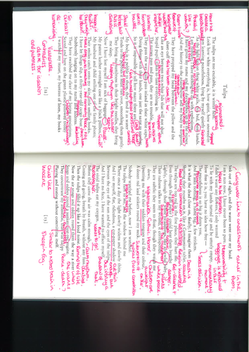 Sylvia Plath Annotations | Teaching Resources