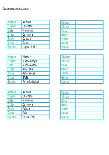 Year 6 Science Living things and their habitats- Classification Lesson ...