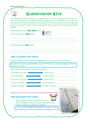 Year 6 Science Living things and their habitats- Classification Keys ...