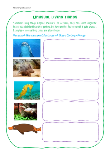 Year 6 Science Living things and their habitats- Unusual Living Things ...