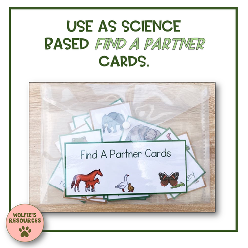 Adult And Baby Animals Matching Cards | Find A Partner Cards | Teaching ...