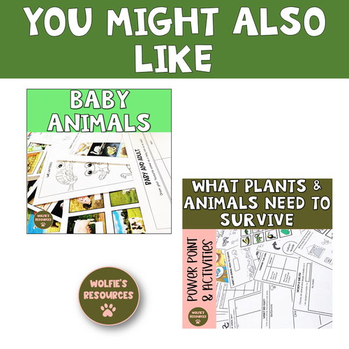 Adult And Baby Animals Matching Cards | Find A Partner Cards | Teaching ...