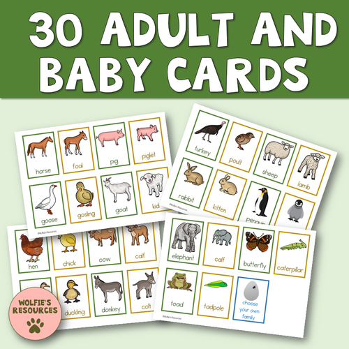 Adult And Baby Animals Matching Cards | Find A Partner Cards | Teaching ...