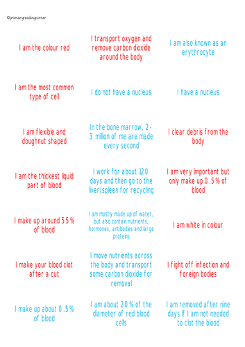 Year 6 Animals, including humans - Components of the blood | Teaching ...