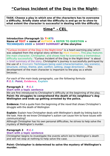 'The Curious Incident of the Dog in the Night-Time' - Play Adaptation ...