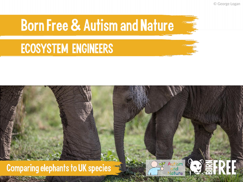 Autism and Nature - All About Elephants - SEND Resources | Teaching ...