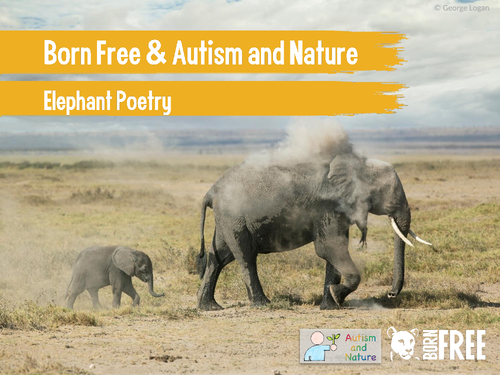 Autism and Nature - All About Elephants - SEND Resources | Teaching ...