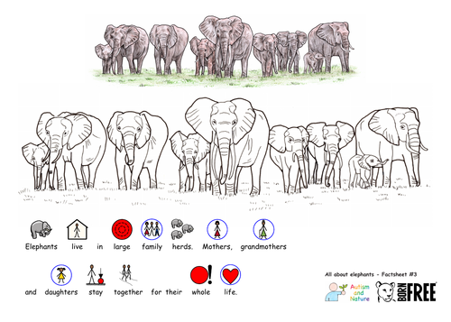 Autism and Nature - All About Elephants - SEND Resources | Teaching ...