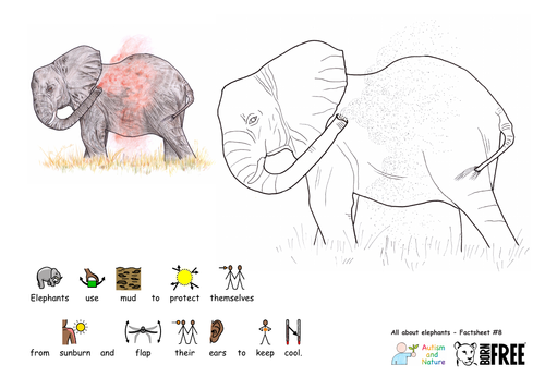 Autism and Nature - All About Elephants - SEND Resources | Teaching ...