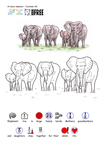 Autism and Nature - All About Elephants - SEND Resources | Teaching ...