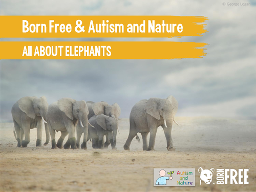 Autism and Nature - All About Elephants - SEND Resources | Teaching ...