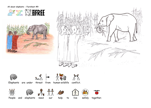Autism and Nature - All About Elephants - SEND Resources | Teaching ...