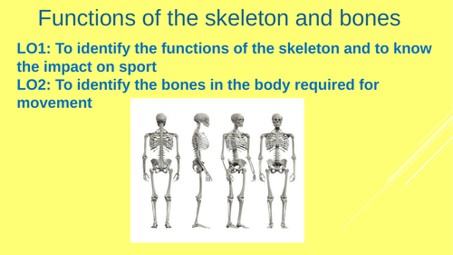 Functions of the skeleton and Bones GCSE PE (Edexcel) | Teaching Resources