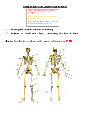 Classification of bones with Bones recap GCSE PE (Edexcel) | Teaching ...