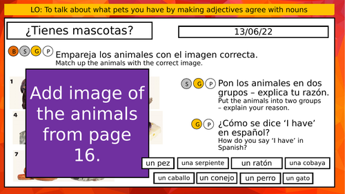 Viva 1 - Module 1 - Mi vida - Unit 5 - ¿Tienes mascotas? | Teaching ...
