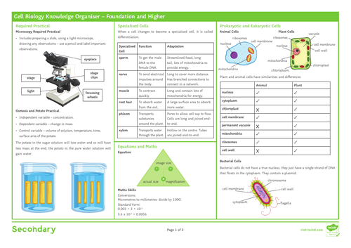 AQA GCSE Combined Science (9-1) Biology Revision Notes. | Teaching ...