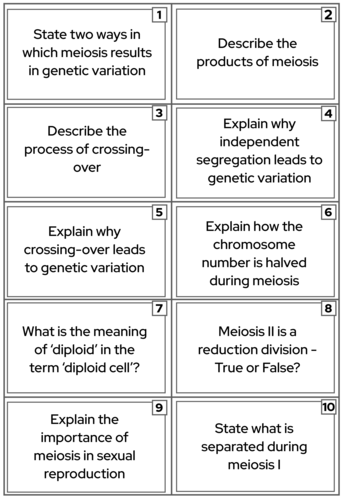 Meiosis A-level Biology Active Recall Flashcard Activity | Teaching ...
