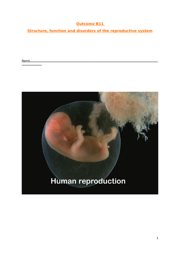 Reproductive system PP & Workbook unit 3 A&P BTEC | Teaching Resources