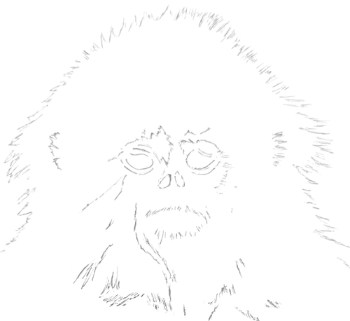 Artists Colouring and Mark Making pages | Teaching Resources