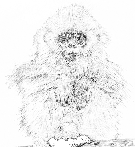 Artists Colouring and Mark Making pages | Teaching Resources