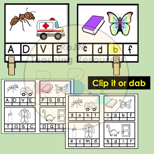 Alphabet Clip Cards Capital/Uppercase and Lowercase Letters Picture ...