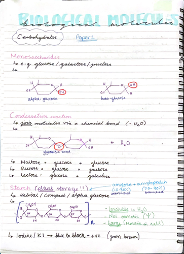 AQA Biology Topic 1 Revision Notes | Teaching Resources
