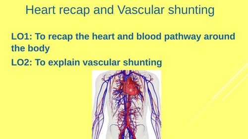 The Heart and vascular shunting GCSE PE (Edexcel) | Teaching Resources