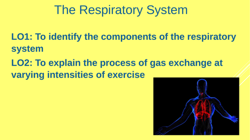The Respiratory System - GCSE PE (Edexcel) | Teaching Resources