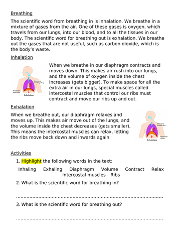 KS3 Biology Breathing Mechanism Comprehension (Lower ability ...
