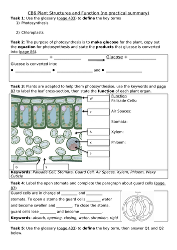 CB6 Plant Structures and Function Revision Sheet , Edexcel Combined ...