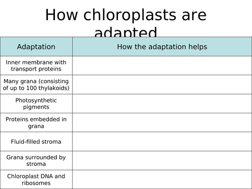 AS BIOLOGY Chloroplasts | Teaching Resources
