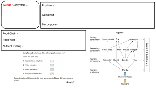 GCSE Geography AQA - The Living World | Teaching Resources