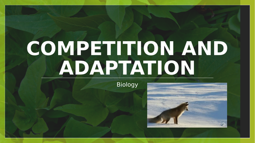 Competition and Adaptation - Biology | Teaching Resources