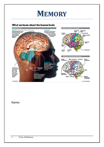 GCSE Psychology 9-1 OCR Memory student work booklet | Teaching Resources