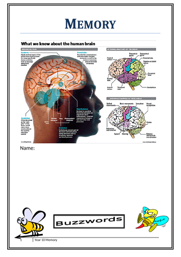 GCSE Psychology 9-1 OCR Memory student work booklet | Teaching Resources