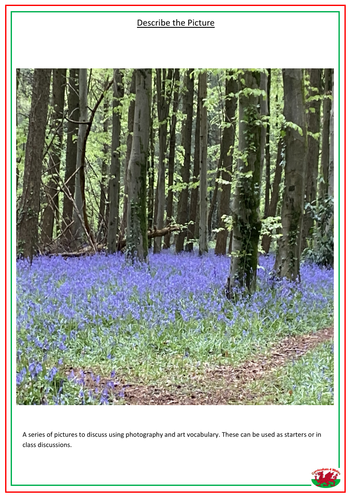 Photography - Starters | Teaching Resources