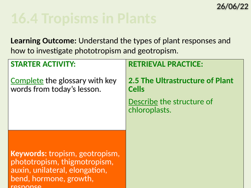OCR Biology A- Chapter 16 Plant Responses | Teaching Resources
