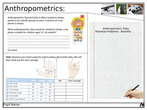 Anthropometrics Worksheet | Teaching Resources