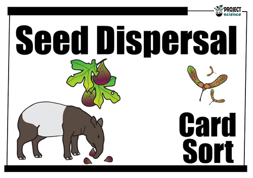 Seed Dispersal Card Sort [Cut and Paste Activity] | Teaching Resources
