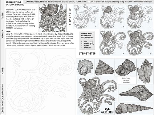Cross Contour Octopus Drawing | Teaching Resources