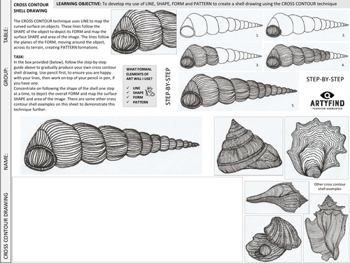 Cross Contour Shell Drawing 1 | Teaching Resources