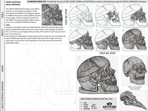 Cross Contour Skull Drawing 2 | Teaching Resources
