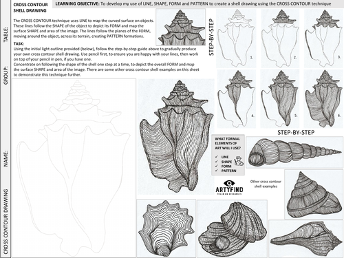 Cross Contour Shell Drawing 3 | Teaching Resources