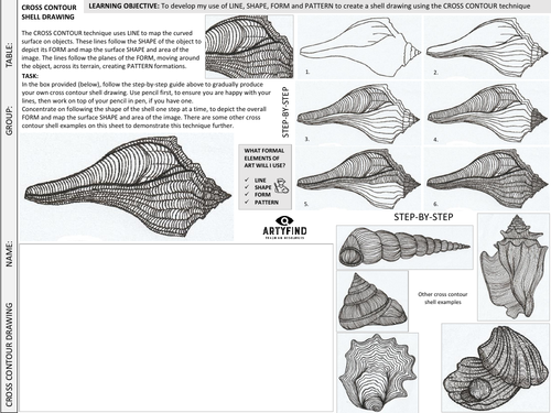 Cross Contour Shell Drawing 4 | Teaching Resources