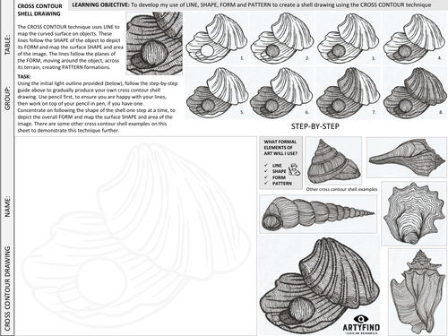 Cross Contour Shell Drawing 5 | Teaching Resources