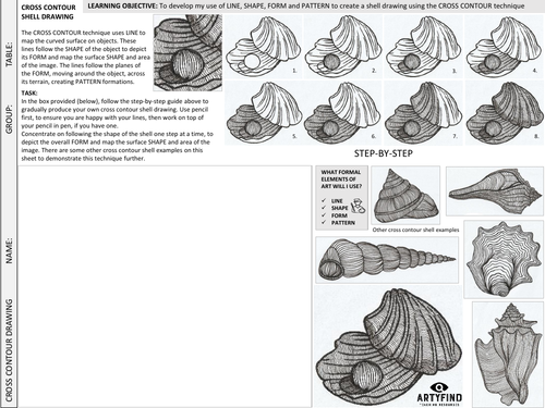 Cross Contour Shell Drawing 5 | Teaching Resources